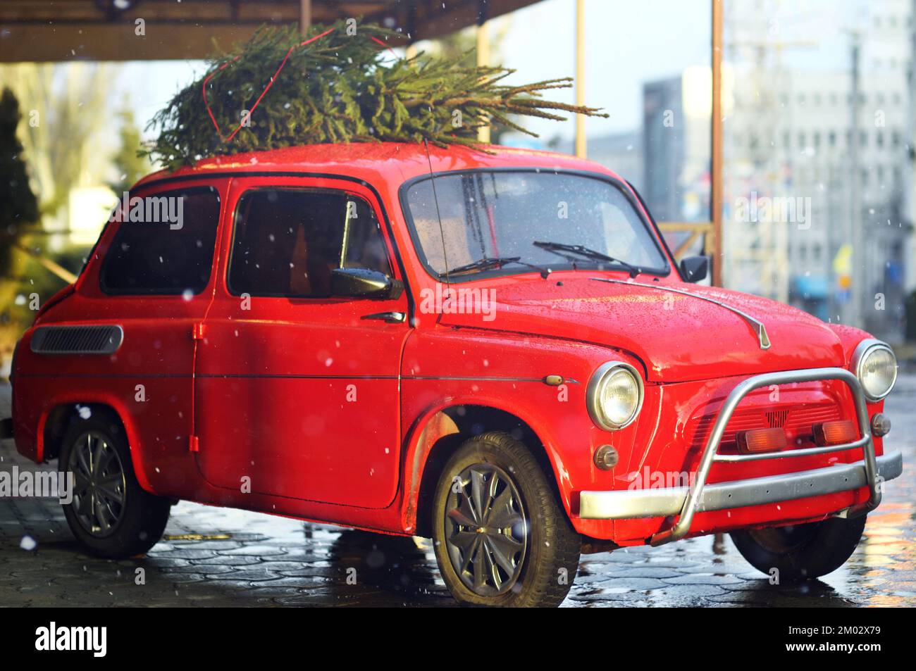 Christmas tree car roof hi-res stock photography and images - Alamy