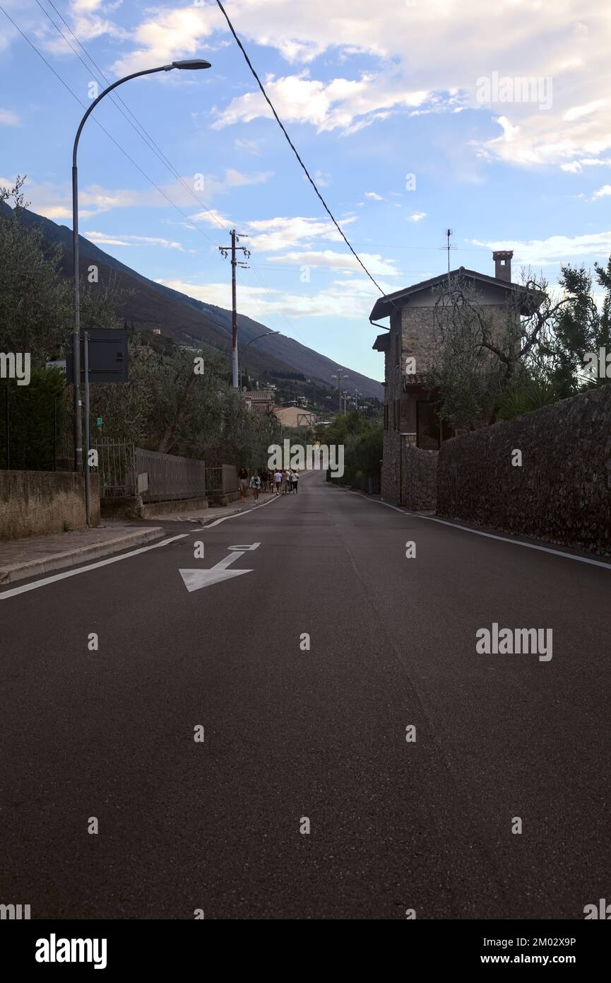 Climbing side road bordered by olive tree plantations in summer Stock ...