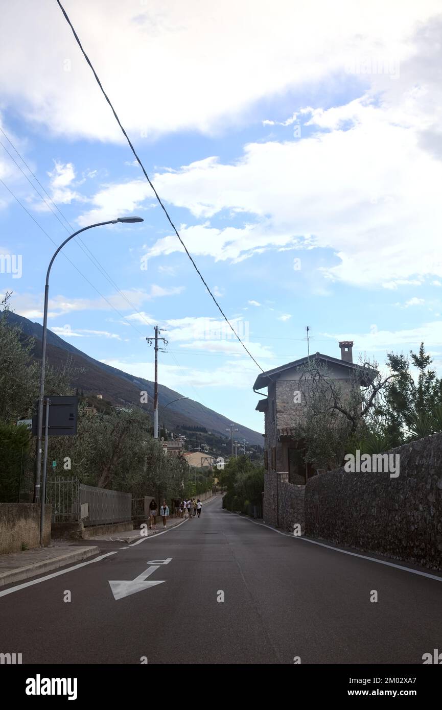 Climbing side road bordered by olive tree plantations in summer Stock ...