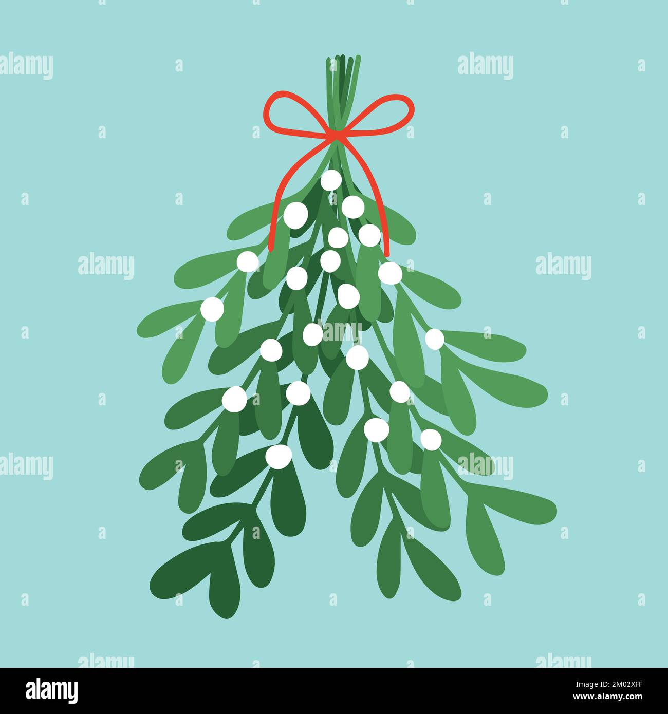 Christmas mistletoe tied Stock Vector Image & Art - Alamy