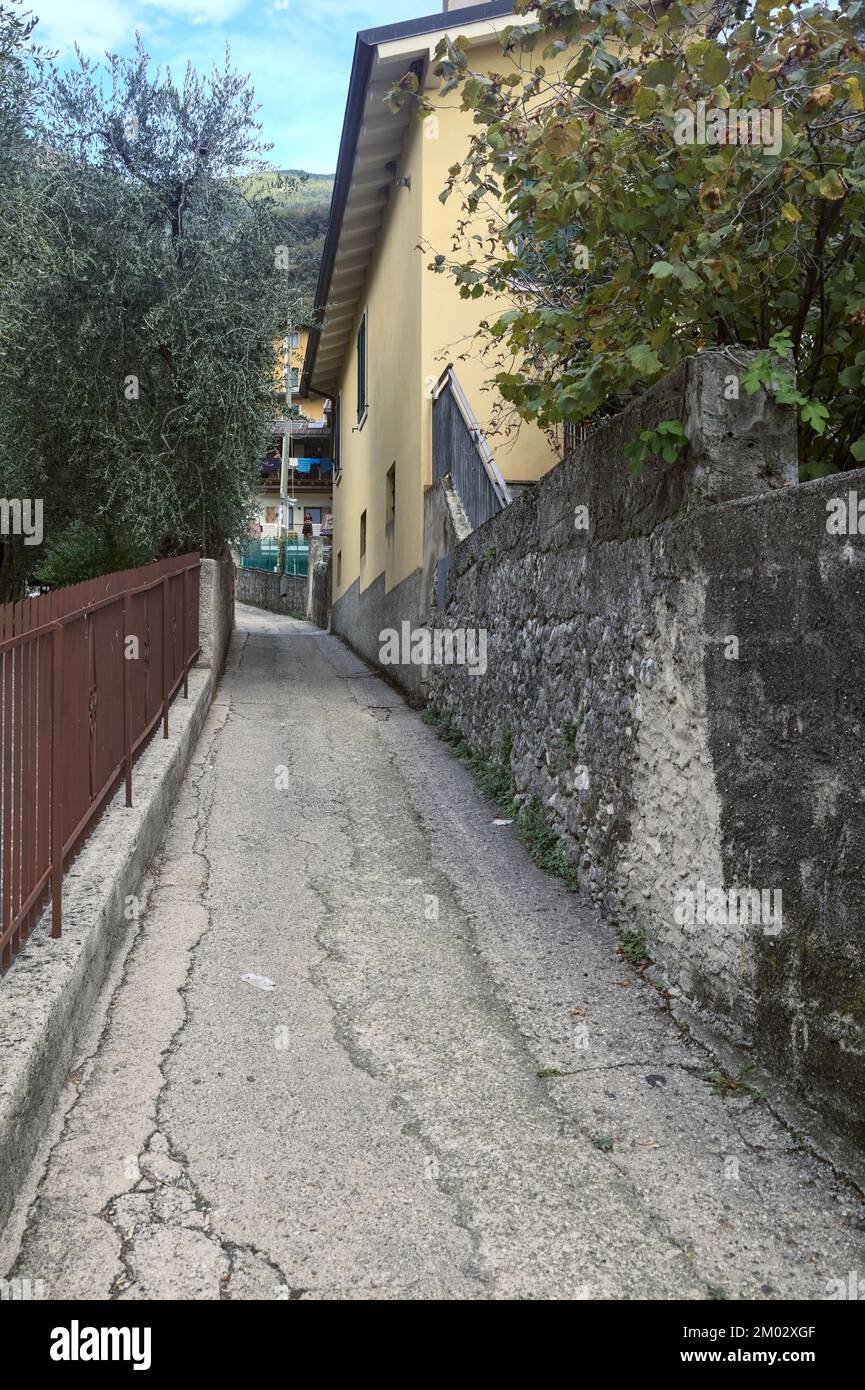 Climbing side road bordered by olive tree plantations in summer Stock ...