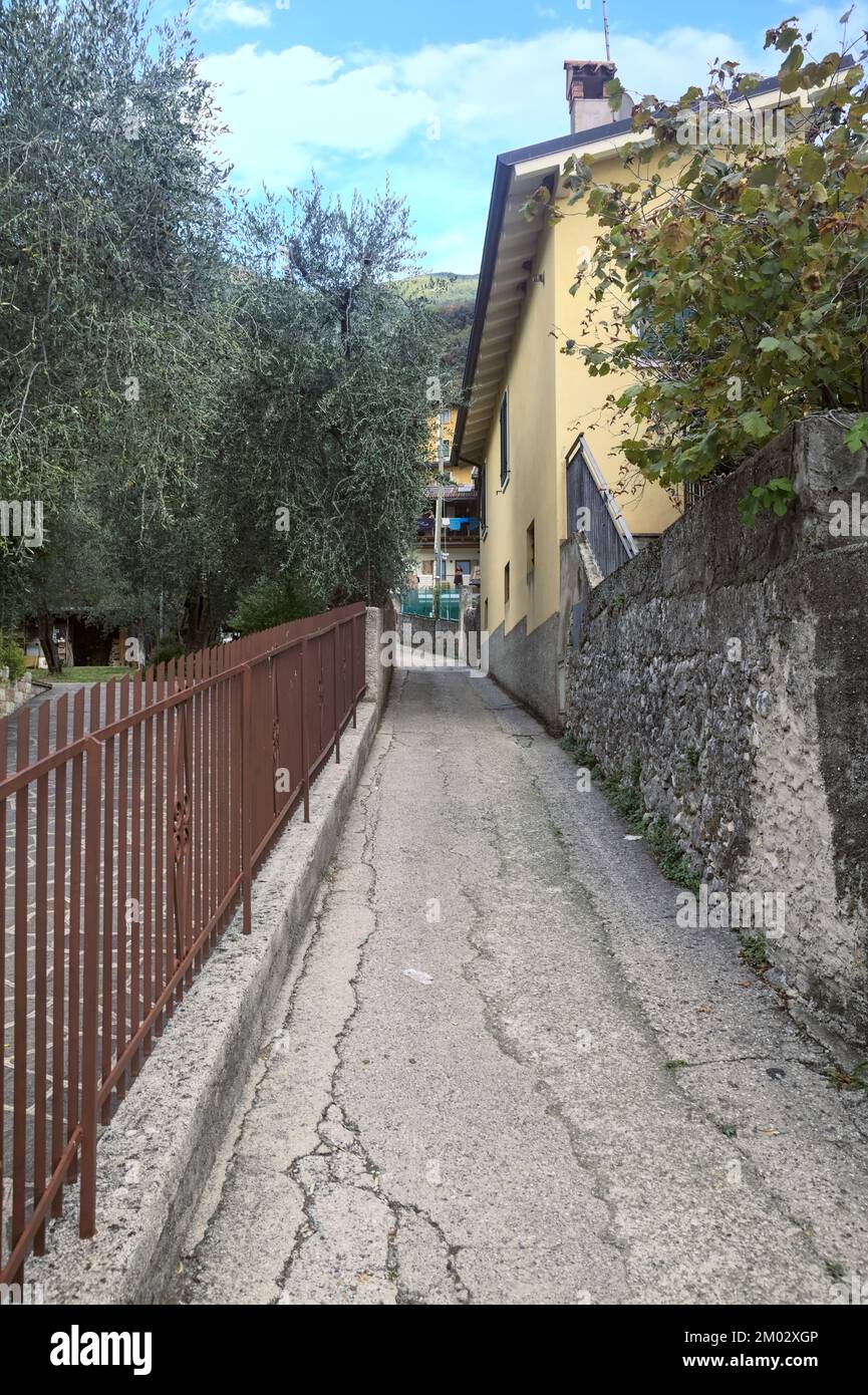 Climbing side road bordered by olive tree plantations in summer Stock ...
