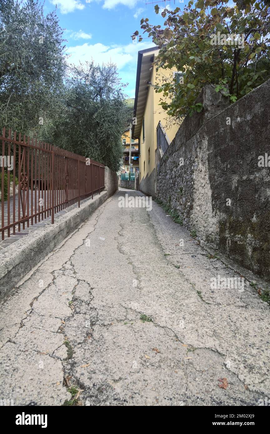 Climbing side road bordered by olive tree plantations in summer Stock ...