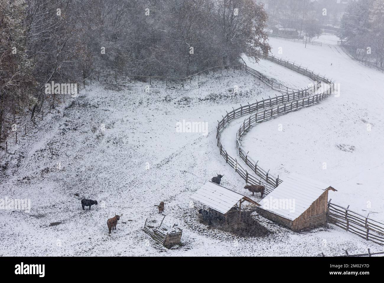 Wooden fence covered with a thin layer of the first snow. Rural ...
