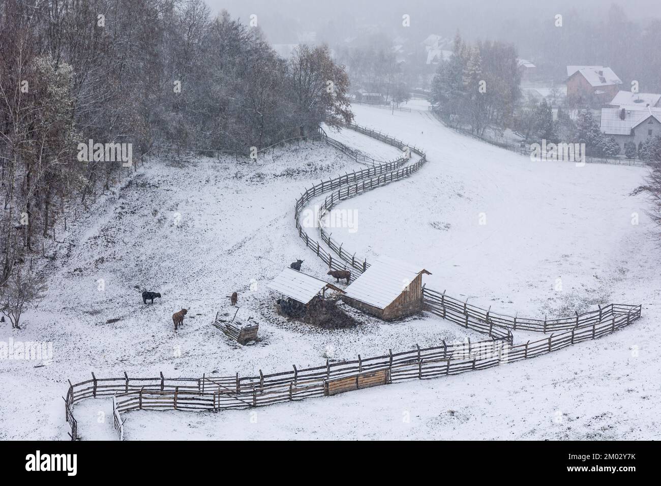 Wooden fence covered with a thin layer of the first snow. Rural ...