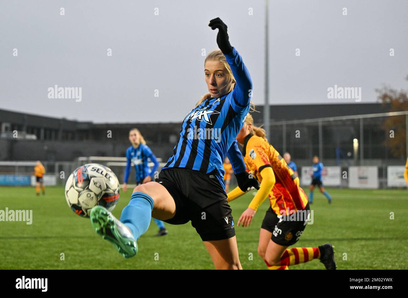 Aalter, Belgium. 03rd Dec, 2022. Ludmila Matavkova (9) of Brugge ...
