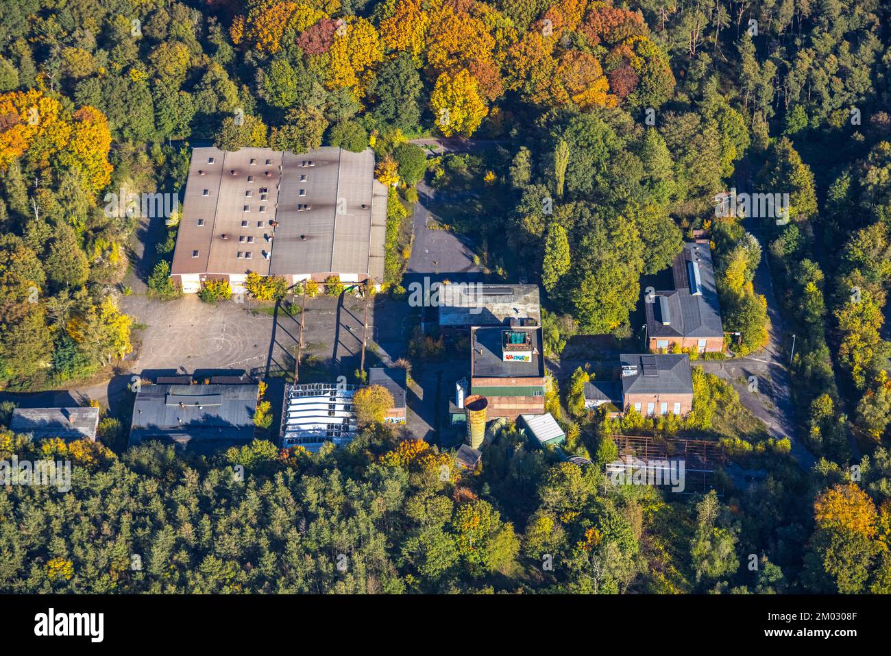 Friedrich heinrich colliery shaft 3 in autumnal forest hi-res stock ...
