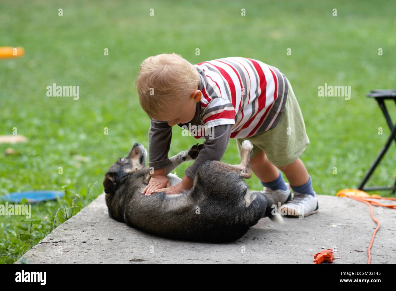 Small boy having fun with dog hi-res stock photography and images - Alamy