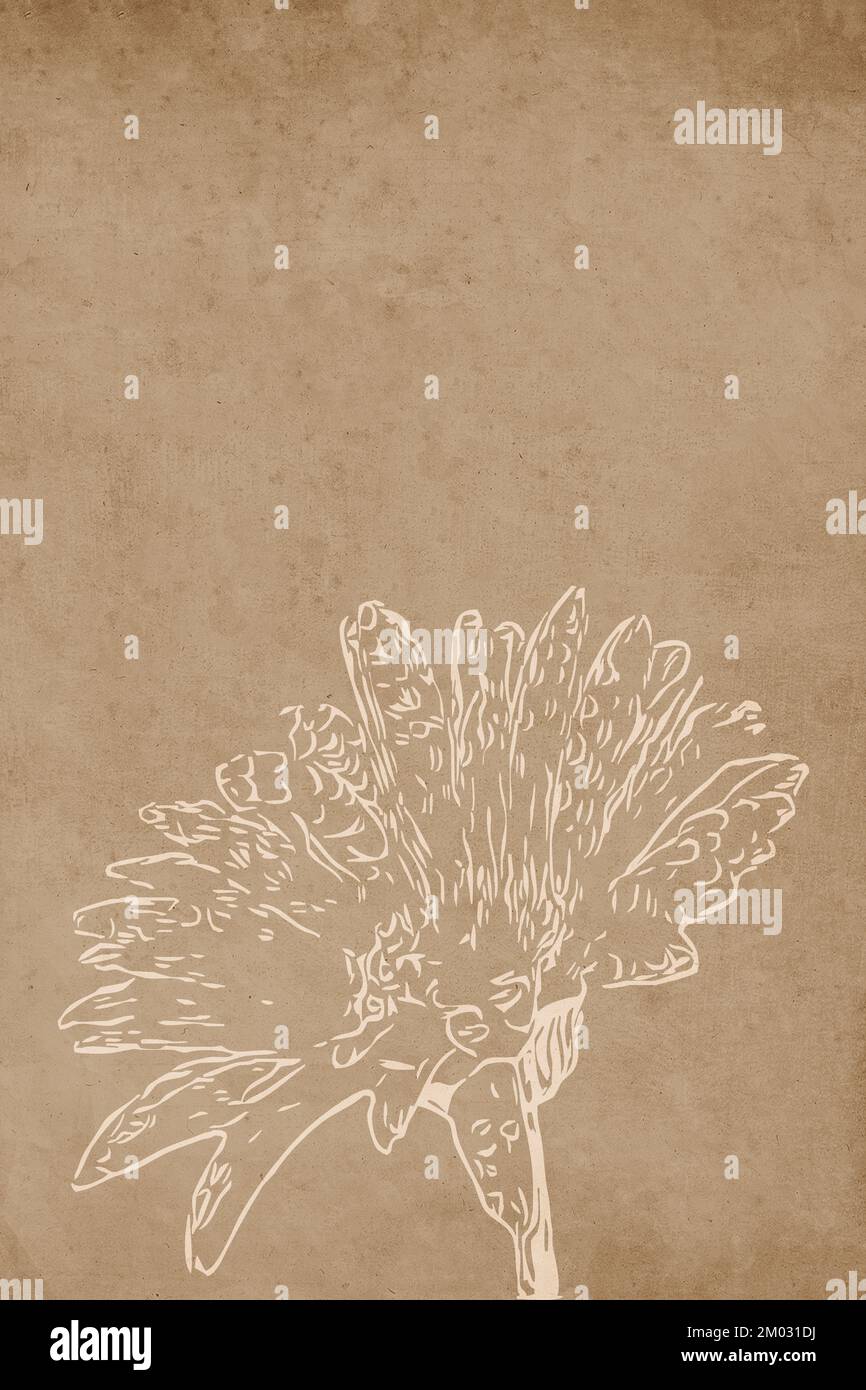 Printable trendy botanical card. Use for cover, wallpaper, wall art ...