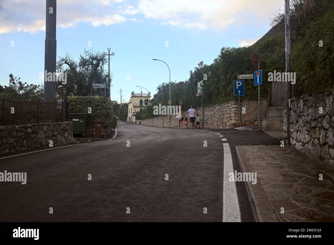 Main road bordered by olive tree plantations in late summer Stock Photo ...