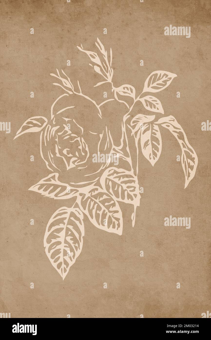 Printable trendy botanical card. Use for cover, wallpaper, wall art ...