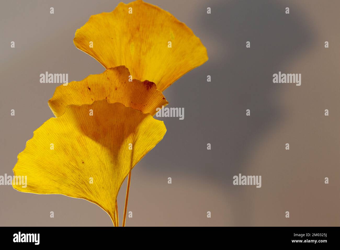 Tableau des couleurs hi-res stock photography and images - Alamy