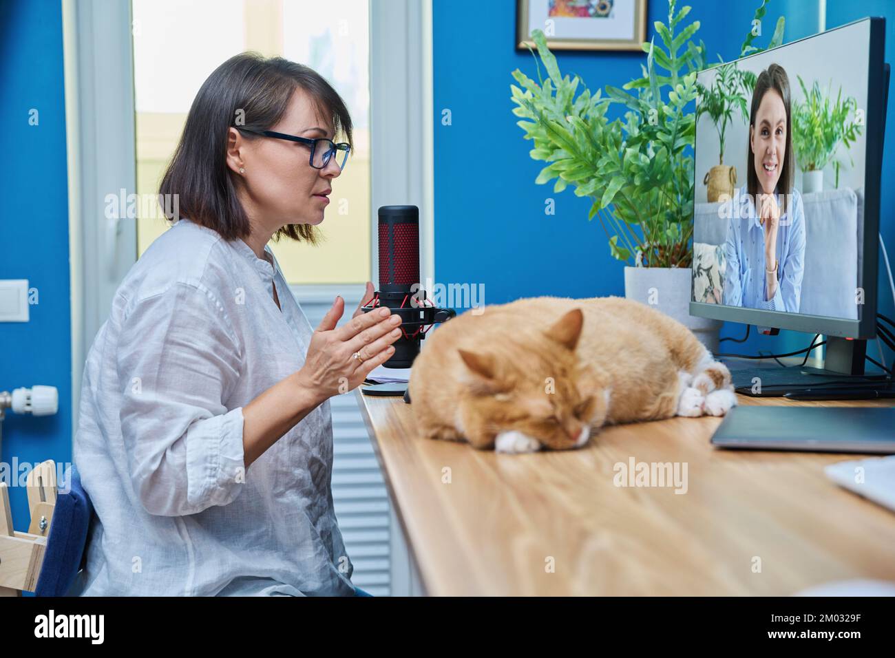 Online meeting conference, female talking to young woman in computer ...