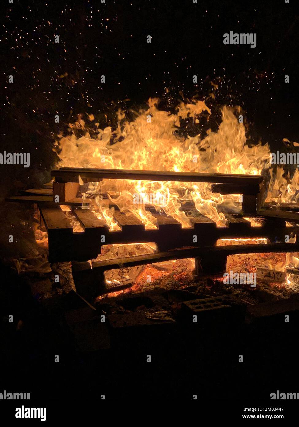 Big Bonfire in the woods on November 7 during a windstorm in Northern ...