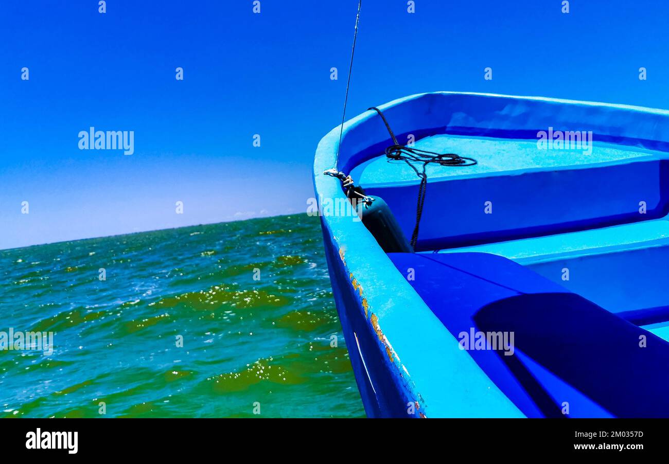 Boat trip with speed boat or ferry from Chiquilá to Isla Holbox island ...