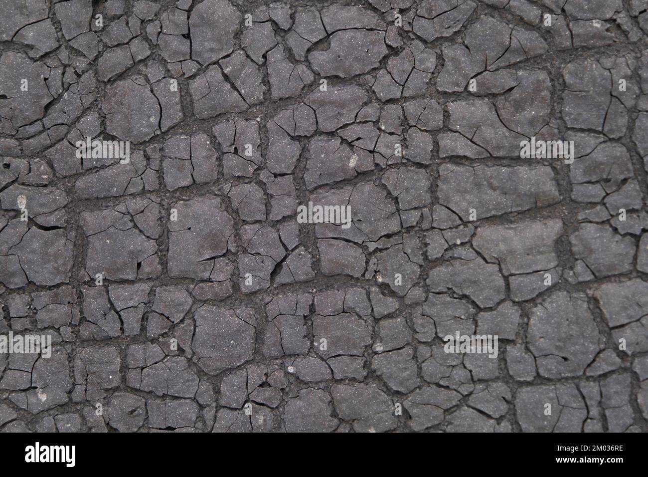 Weathered old dark gray ruberoid texture with numerous cracks and ...