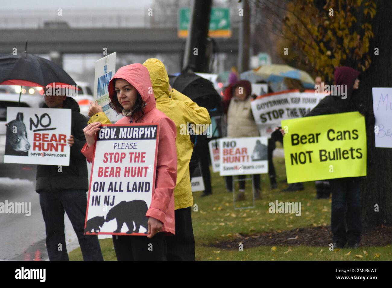 New jersey bear hunt hi-res stock photography and images - Alamy