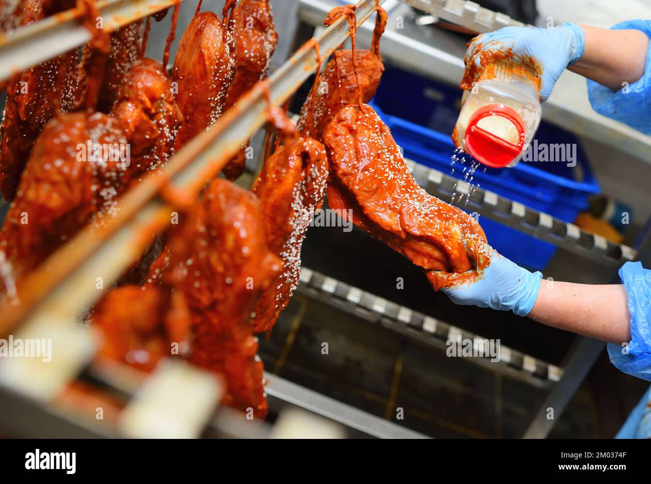 an employee of a butcher's shop or meat-packing plant sprinkles ...