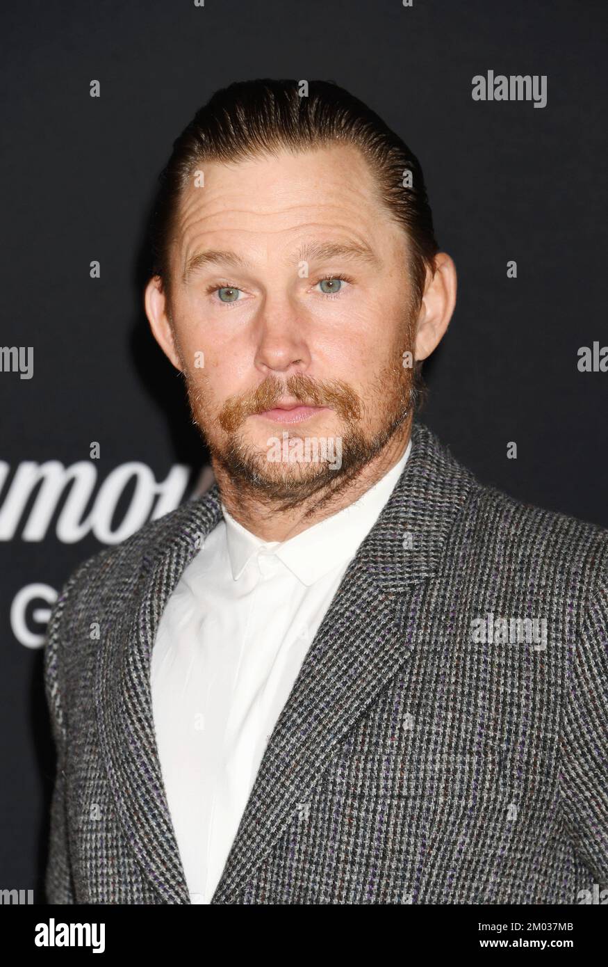 LOS ANGELES, CALIFORNIA - DECEMBER 02: Brian Geraghty attends the Los ...