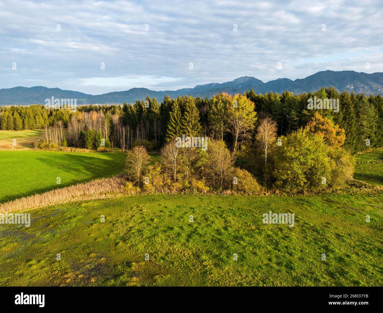 landscape with trees and mountains in Upper Bavaria Stock Photo - Alamy