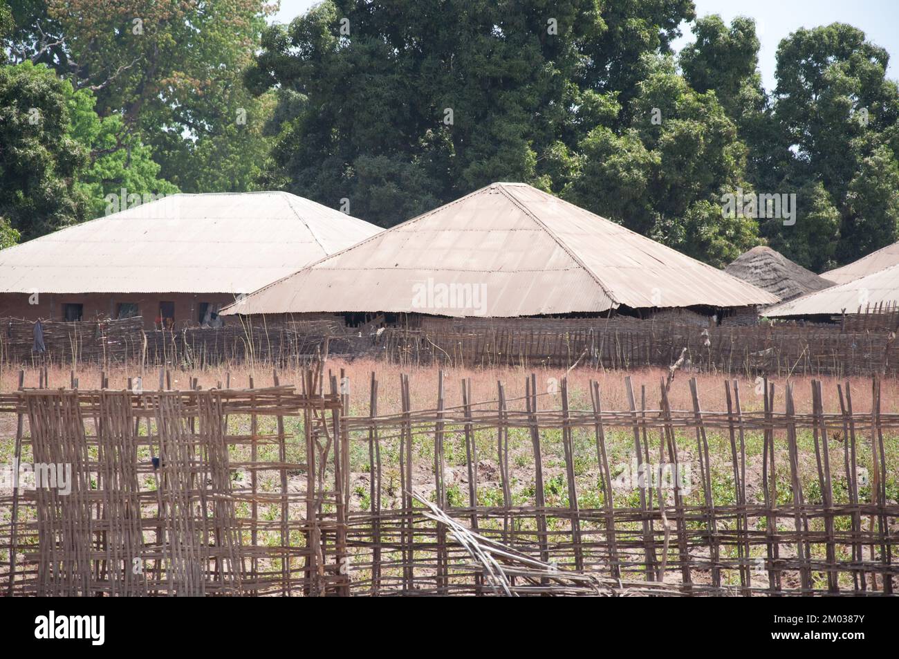 Bafata region hi-res stock photography and images - Alamy