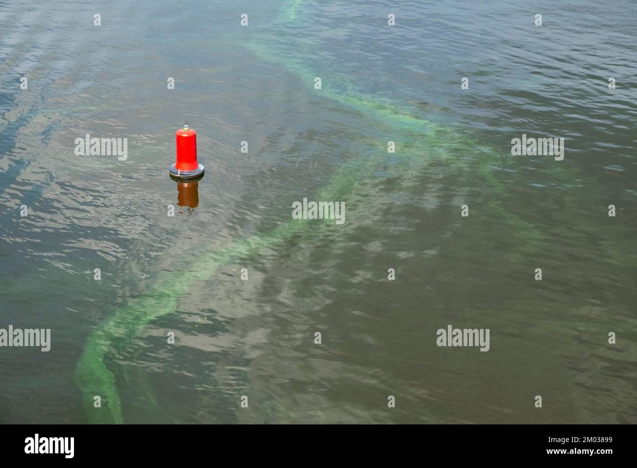 Polluted green river water. Toxic bacteria and harmful waste pollute ...