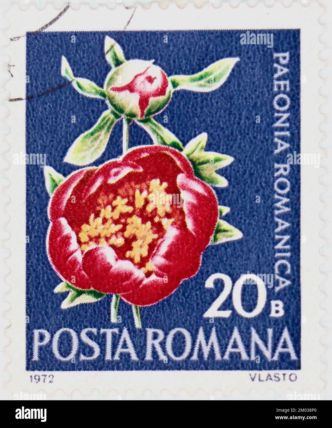 Photo of a postage stamp from Romania Peony Paeonia romanica Scarce ...