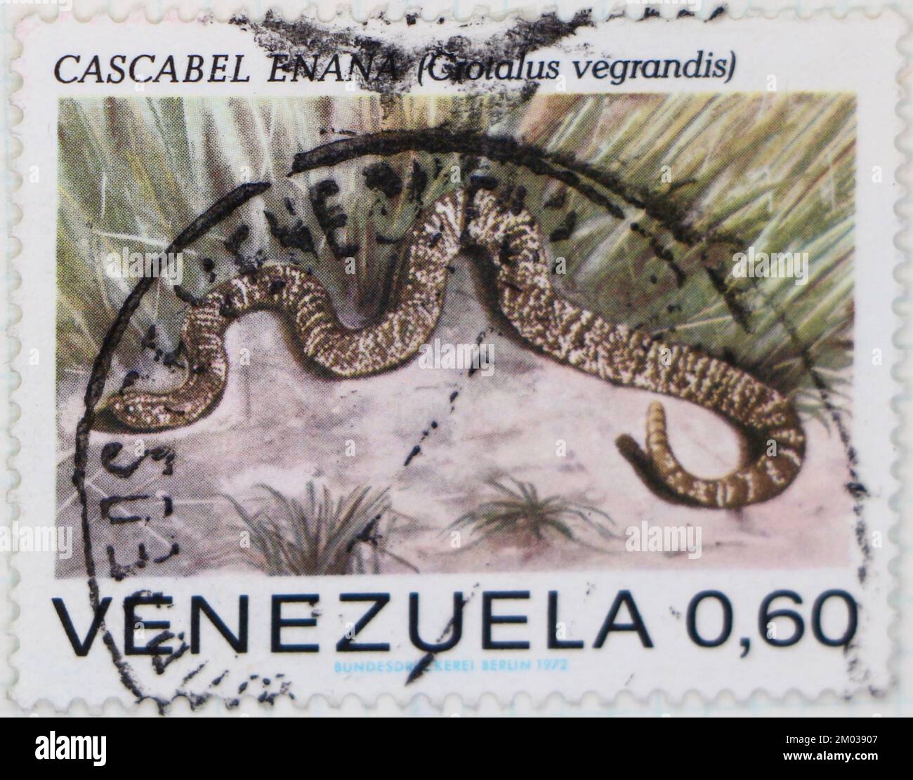 Photo of a postage stamp from Venezuela Uracoan Rattlesnake Crotalus ...