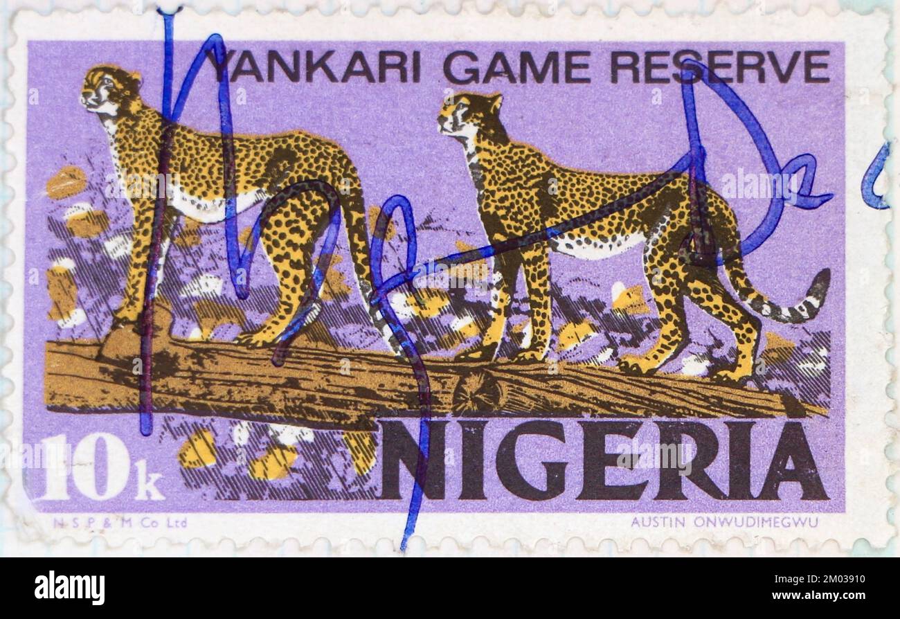 Photo of a Nigerian postage stamp Cheetah Acinonyx jubatus Economy ...
