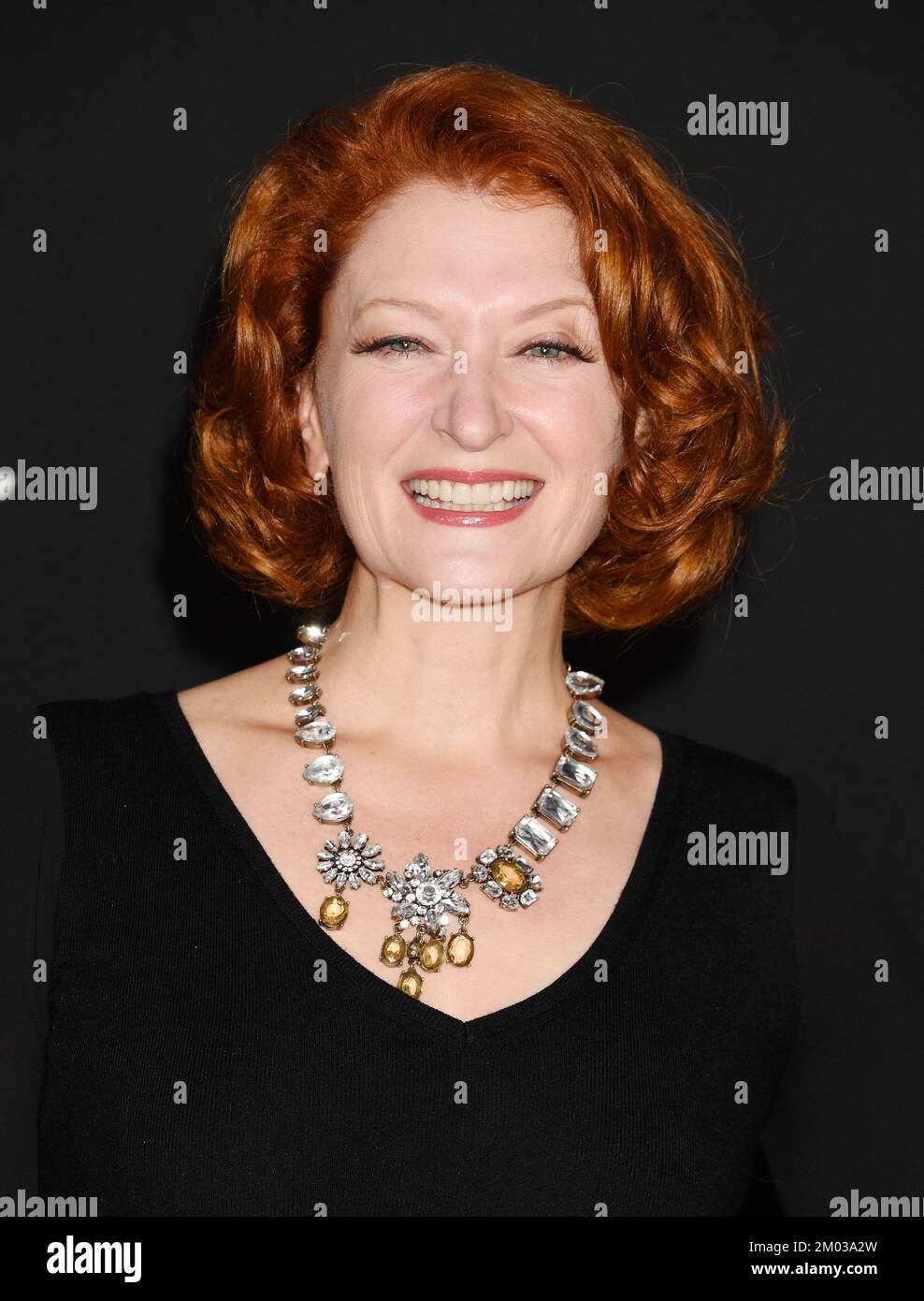 LOS ANGELES, CALIFORNIA - DECEMBER 02: Kerry O'Malley attends the Los ...