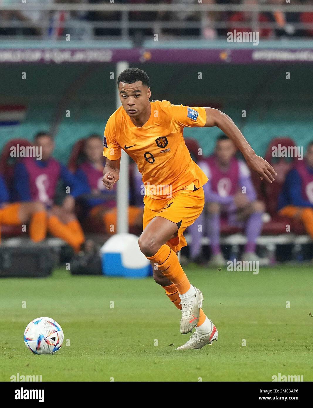 12/03/2022, Khalifa International Stadium, Doha, QAT, FIFA World Cup ...
