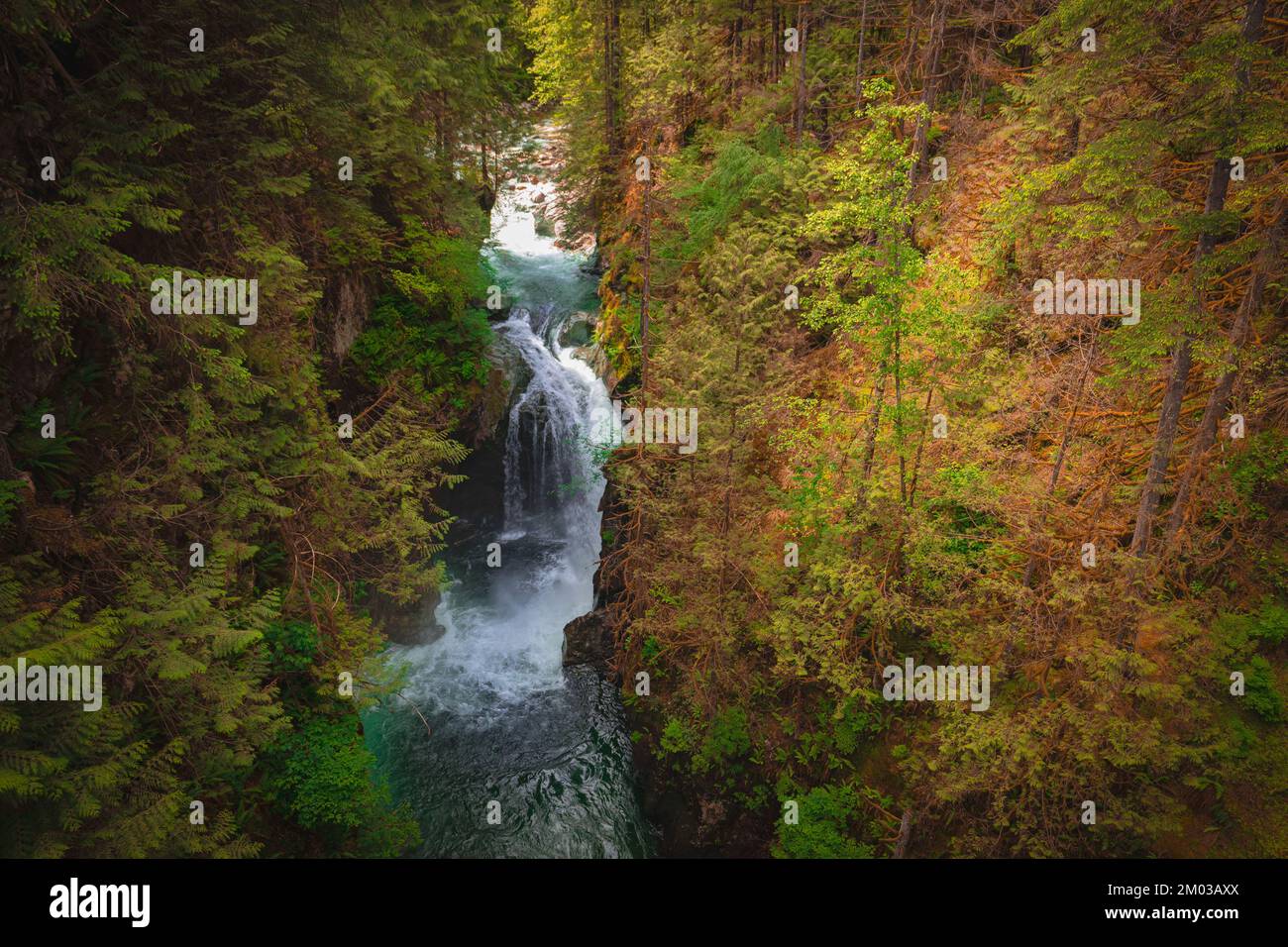 Waterfall on the Mountain Stream in the Forest. Clicked in Canada Stock ...
