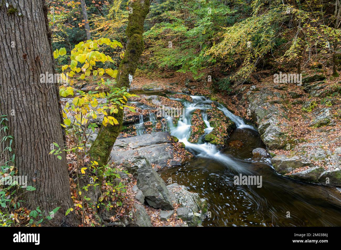 Waterfall, Autumn colors, Laurel Creek. Great Smoky Mountains National ...