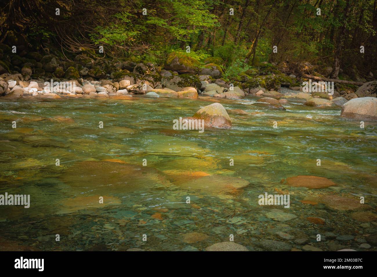 Waterfall on the Mountain Stream in the Forest. Clicked in Canada Stock ...