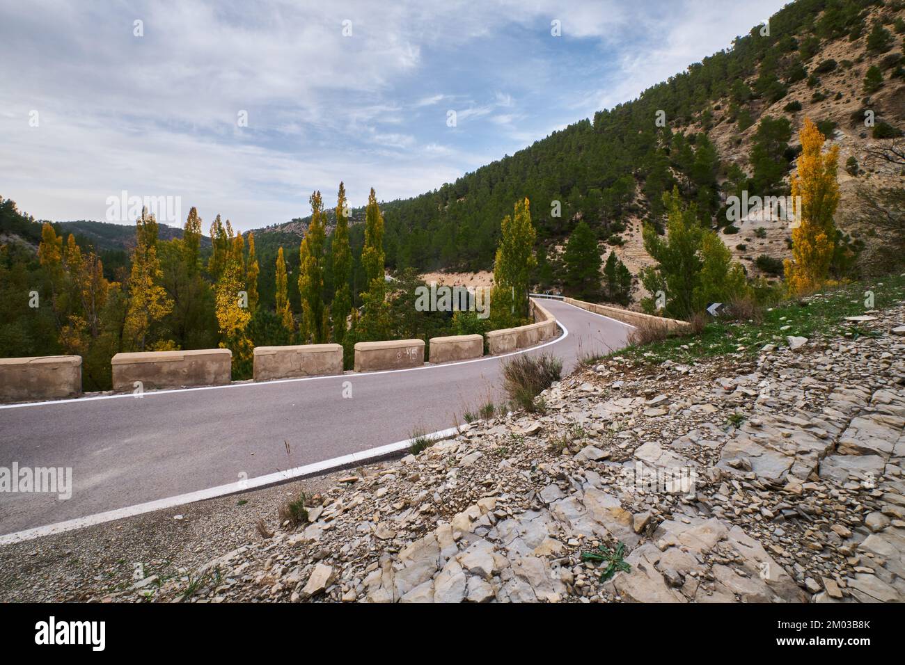 Trodden leaves hi-res stock photography and images - Alamy