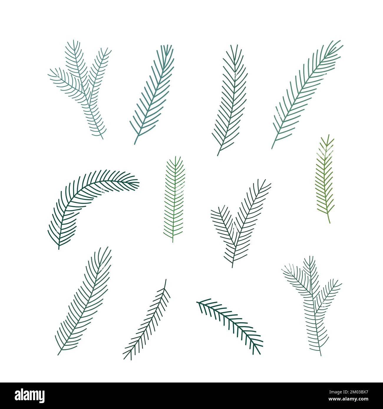 Christmas holiday evergreen branches Stock Vector Images - Alamy