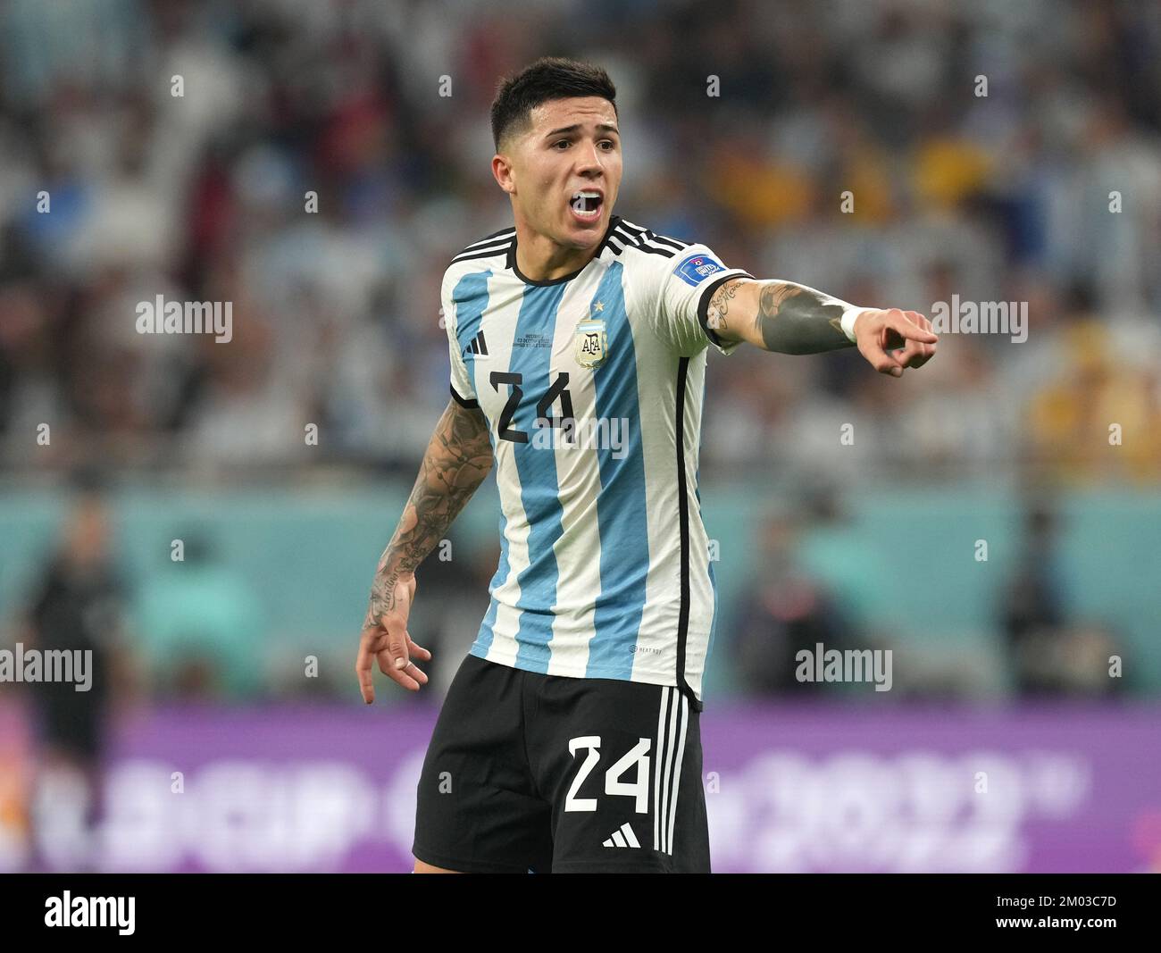 Argentina's Enzo Fernandez during the FIFA World Cup round of 16 match ...