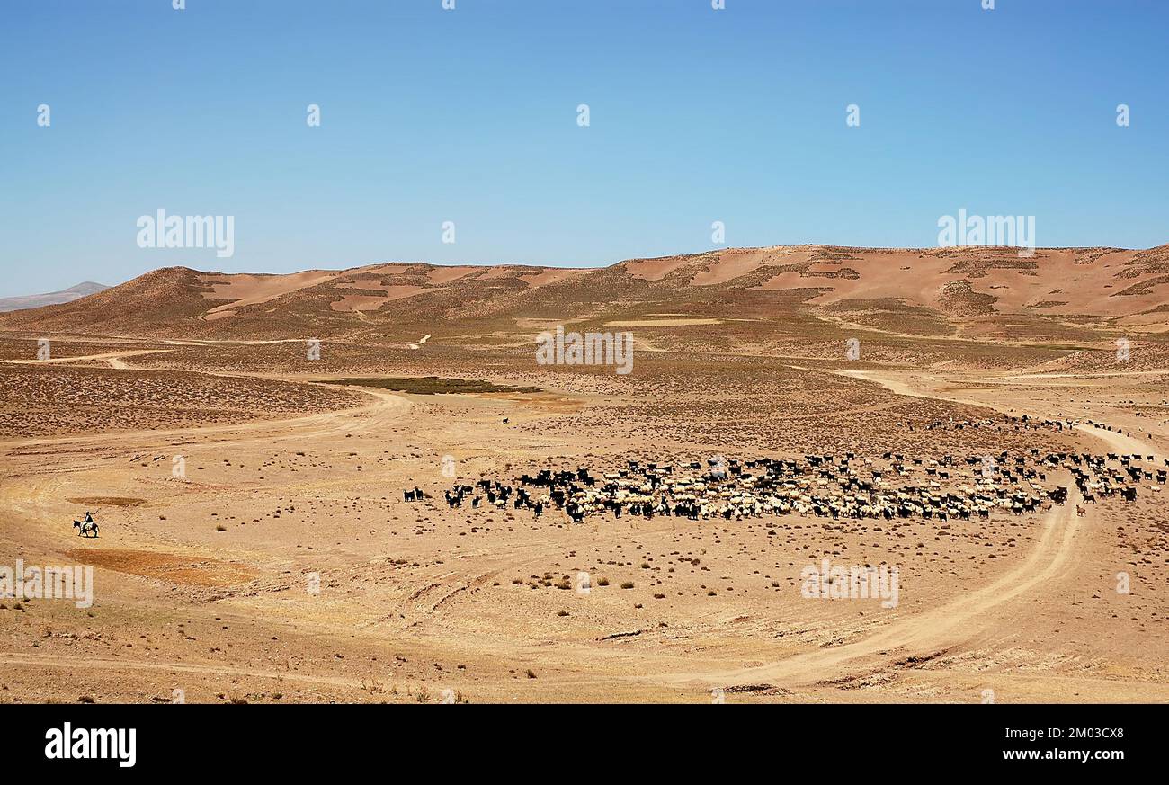 Between Chaghcharan and the Minaret of Jam, Ghor Province in ...
