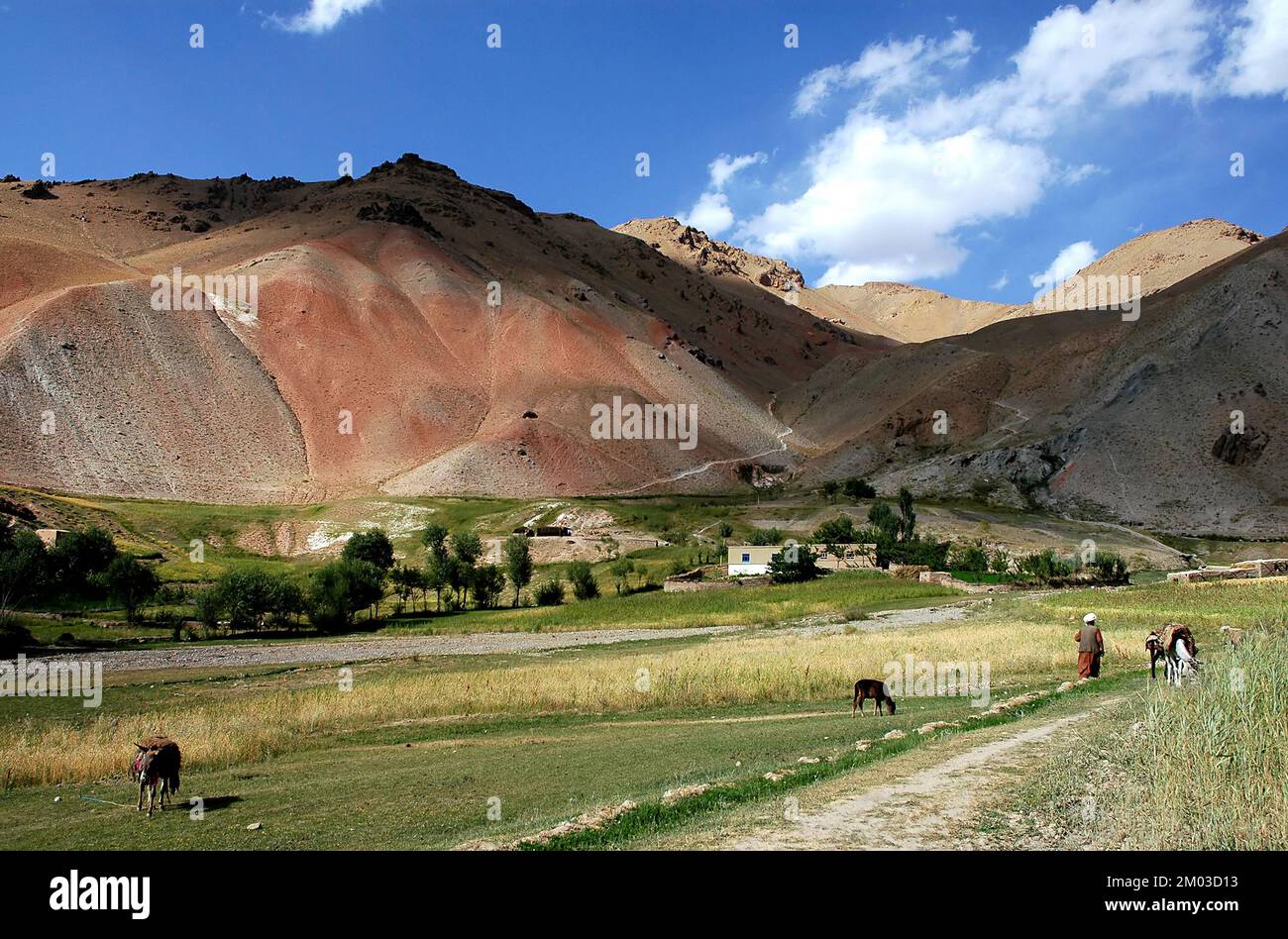 Afghan farm hi-res stock photography and images - Alamy