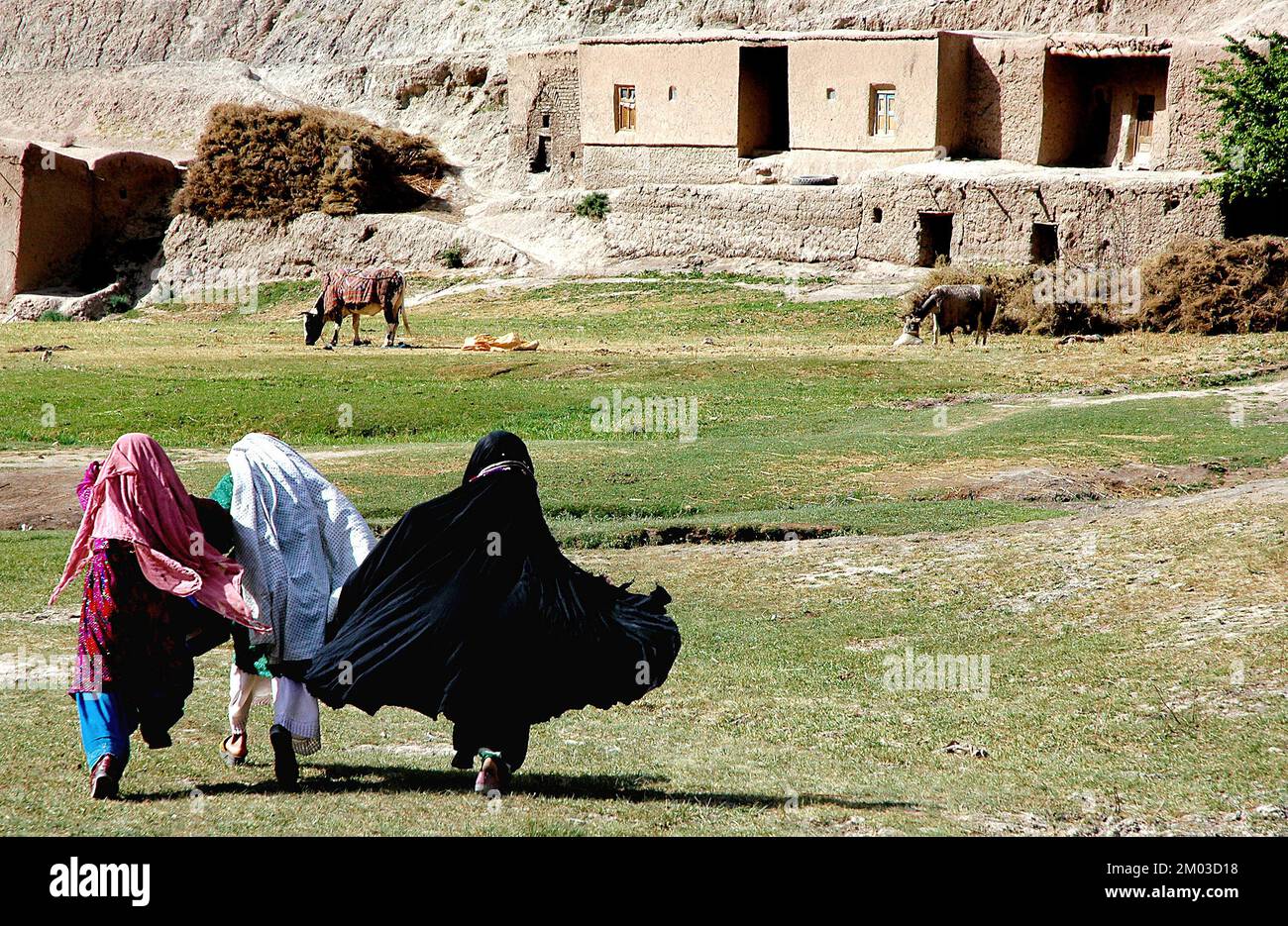 A small village between Chaghcharan and the Minaret of Jam, Ghor ...