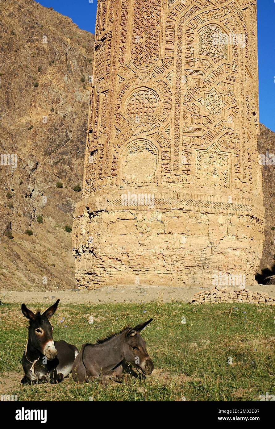Minaret of Jam, Ghor Province in Afghanistan. Two donkeys at the base ...