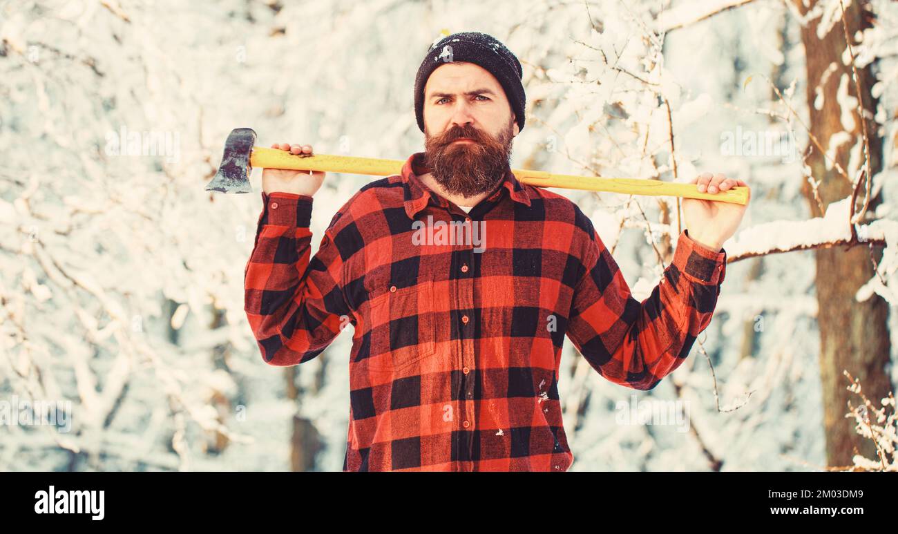 Lumberjack in the woods with an ax. Woodman working in the forest ...