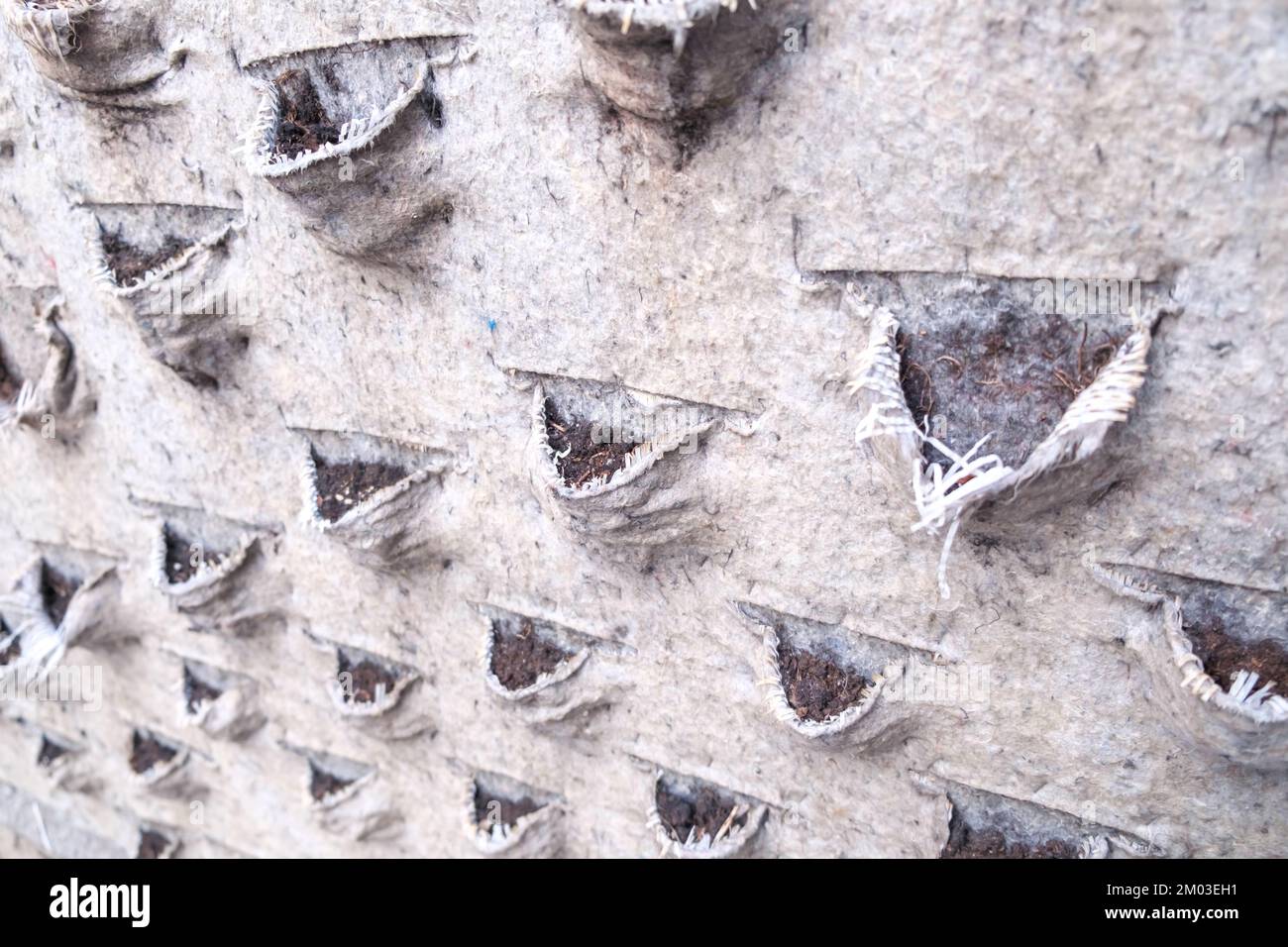 Surface of a dry vertical garden, under renovation, empty flowerpots ...