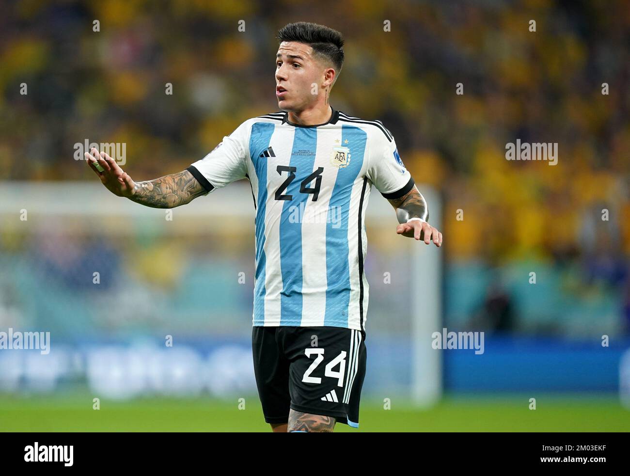 Argentina's Enzo Fernandez during the FIFA World Cup round of 16 match ...