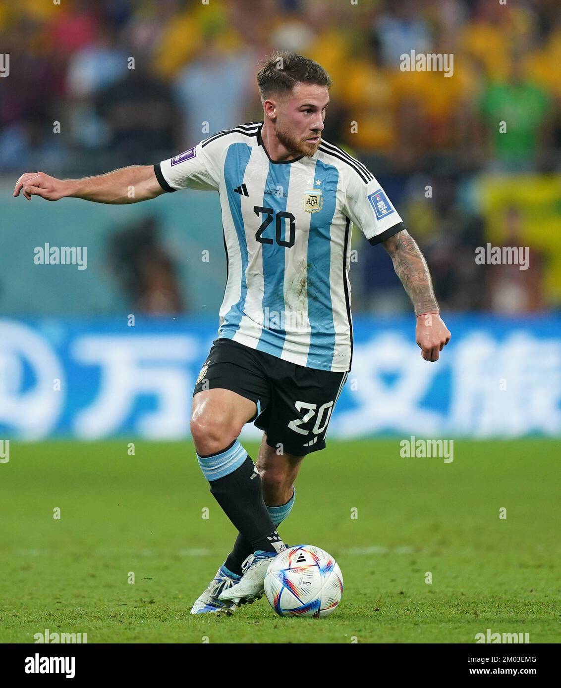 Argentina's Alexis Mac Allister during the FIFA World Cup round of 16 ...