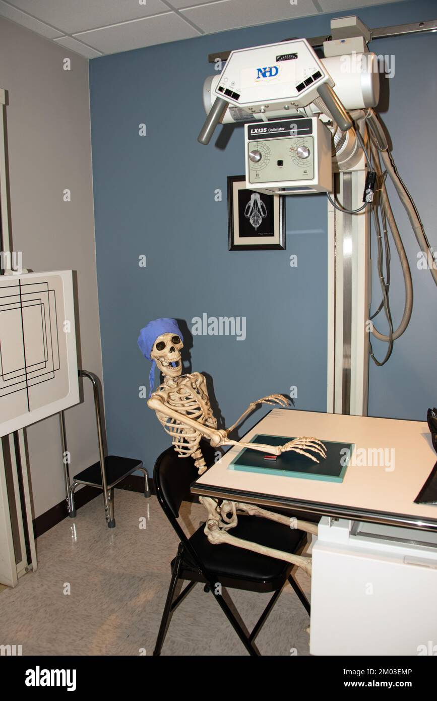 Skeleton sitting down for a hand x-ray Stock Photo - Alamy