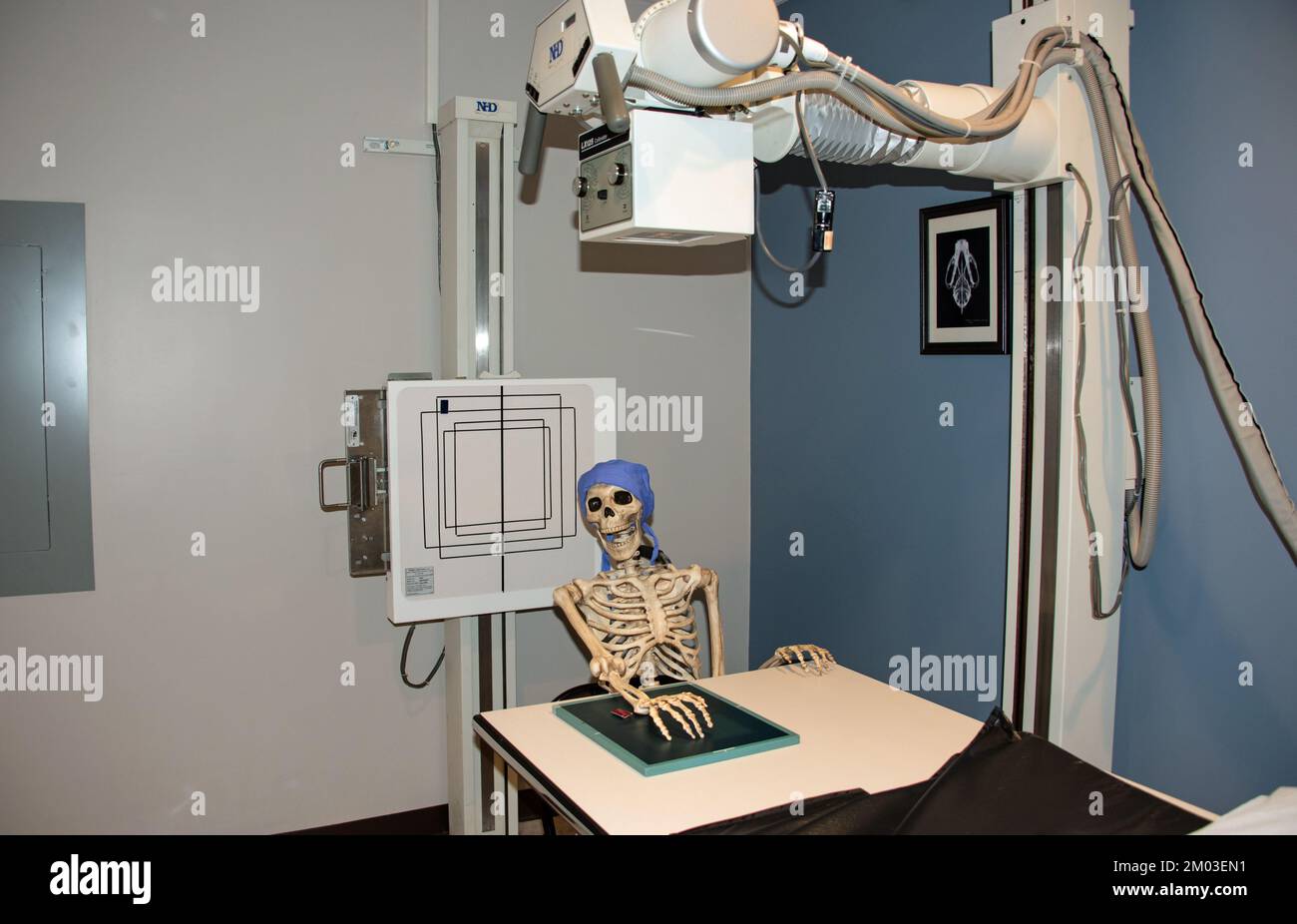 Skeleton sitting hi-res stock photography and images - Alamy