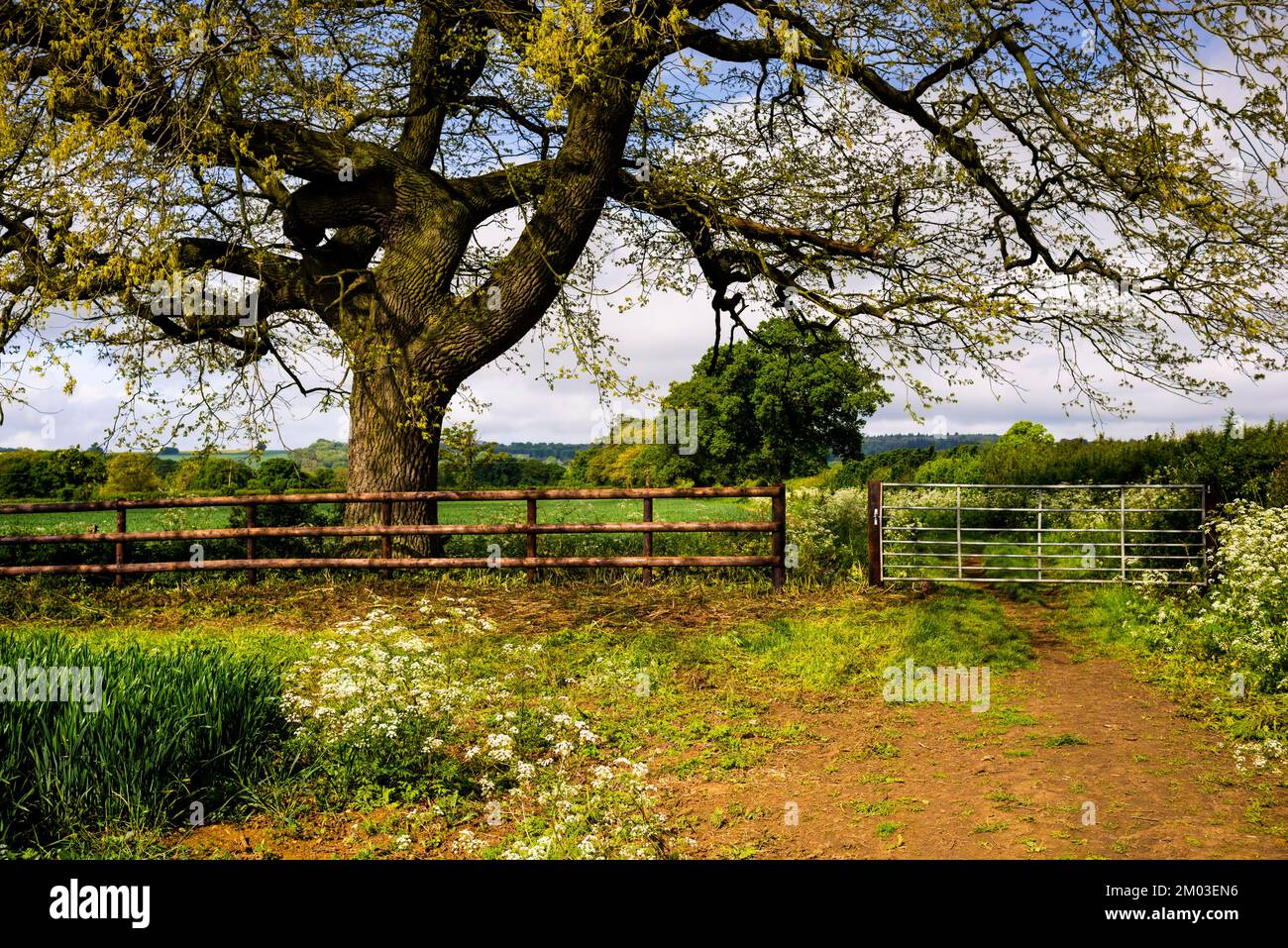 Cotswold National Landcape iwalking paths open to the public across ...