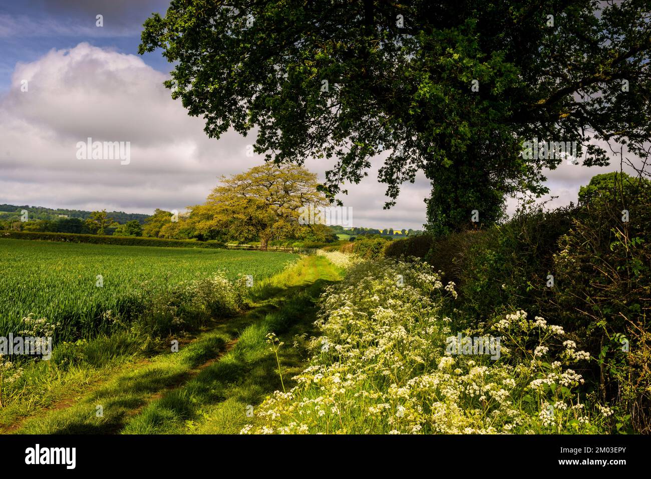 Cotswold National Landcape walking paths open to the public across ...
