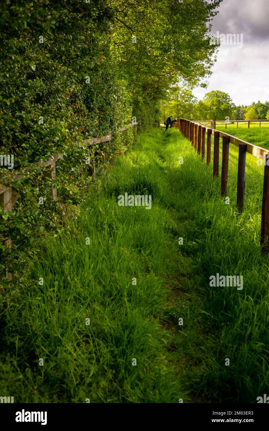 Cotswolds long distance walks hi-res stock photography and images - Alamy
